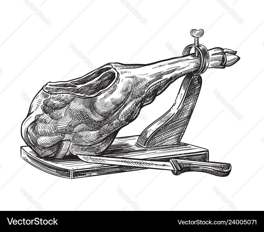 Sketch of jamon Royalty Free Vector Image - VectorStock