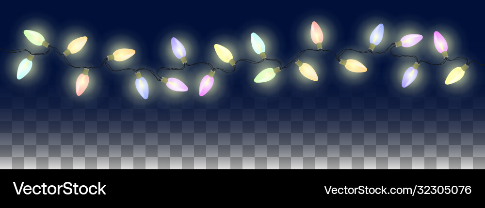A long garland with burning lights festive decor Vector Image