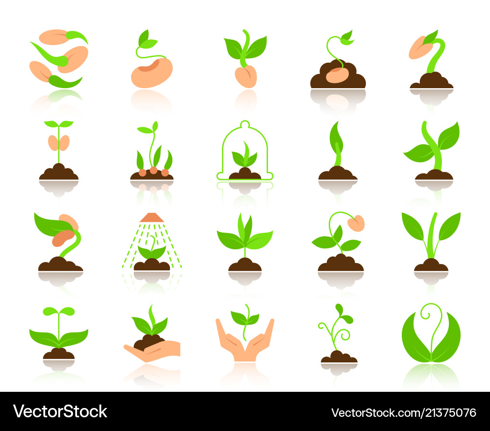 Sprout simple flat color icons set Royalty Free Vector Image