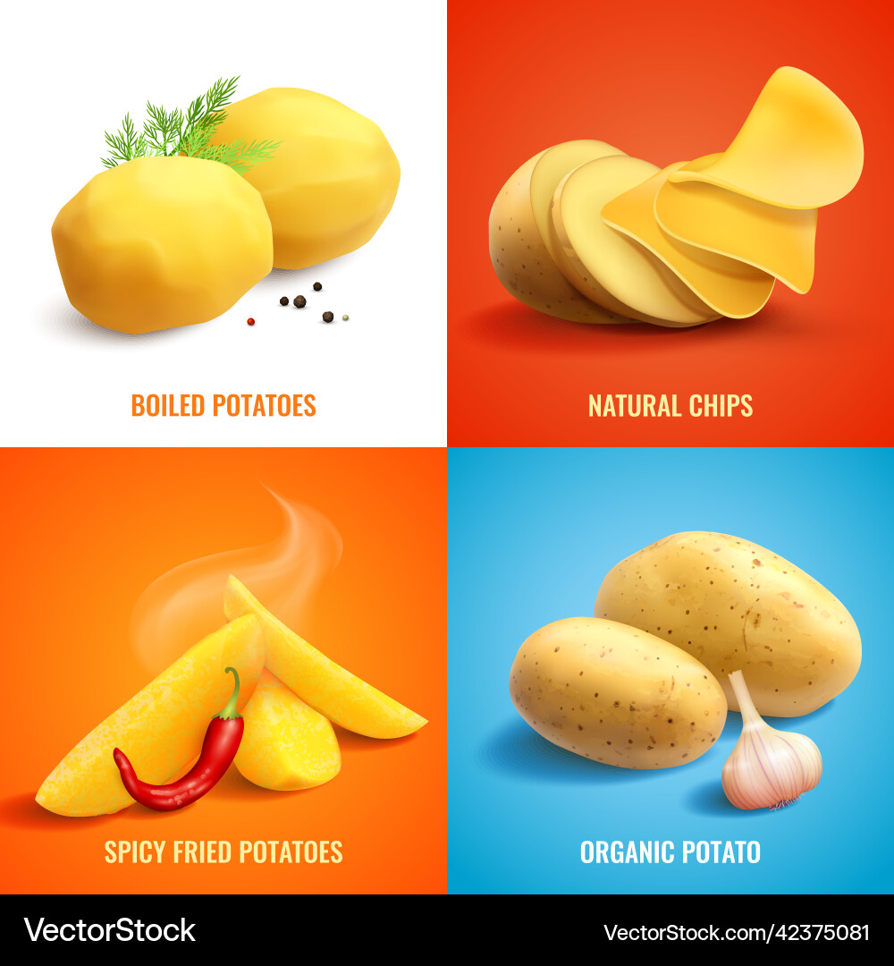 Potato realistic 2x2 design concept Royalty Free Vector