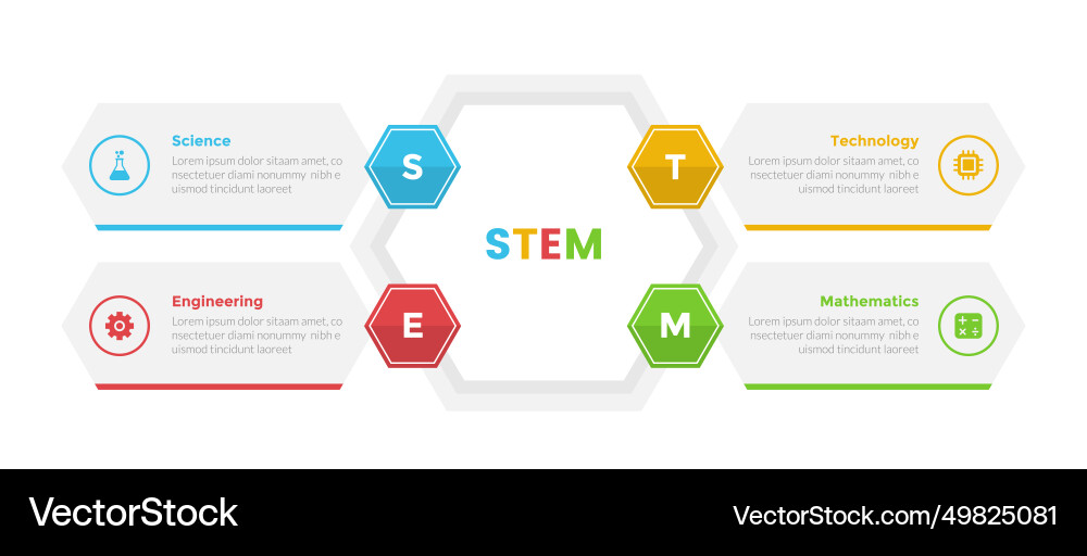 Stem education infographics template diagram Vector Image