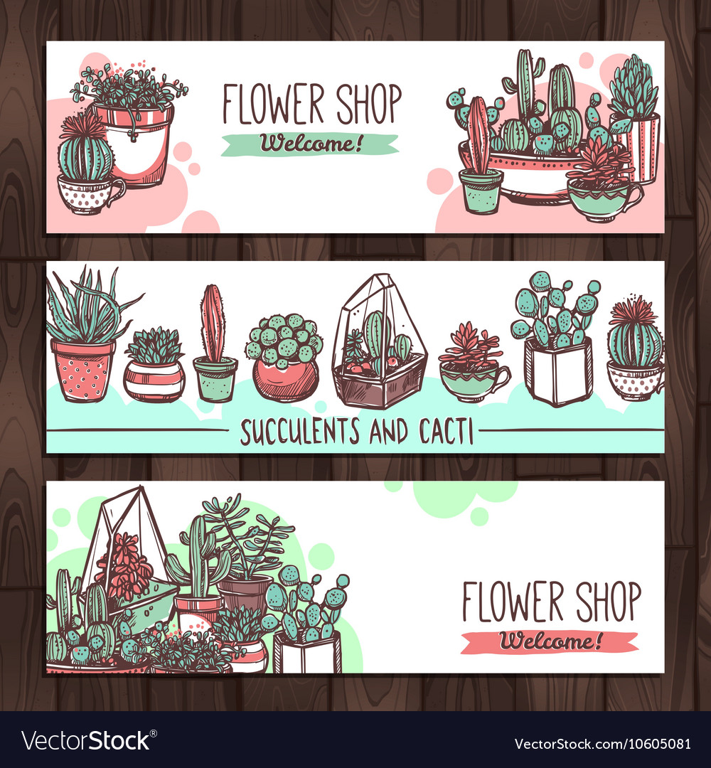 Succulents and cacti color sketch banners design Vector Image