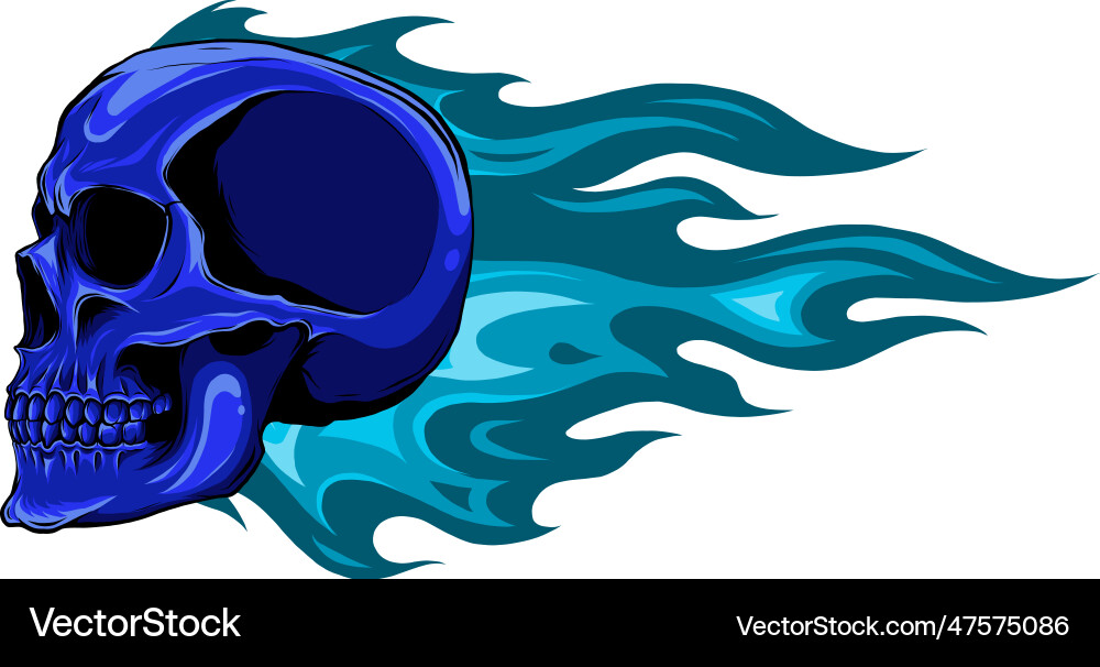 Colored draw of human skull Royalty Free Vector Image