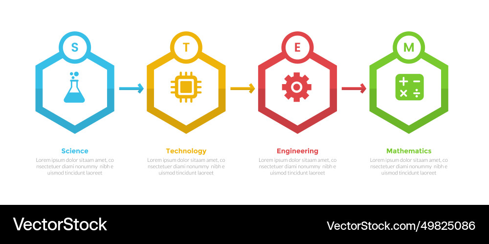 Stem education infographics template diagram with Vector Image