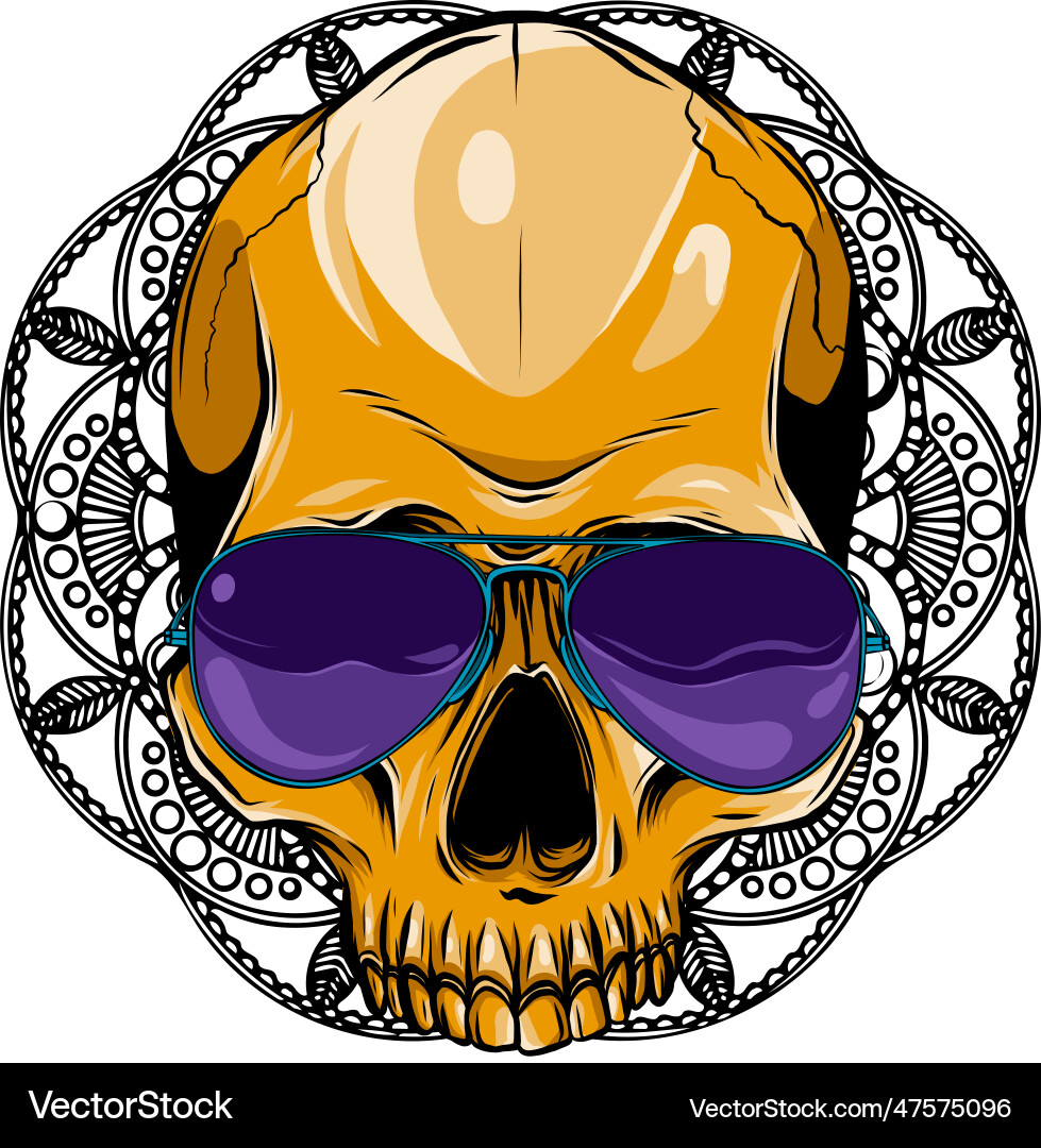 Colored draw of human skull Royalty Free Vector Image