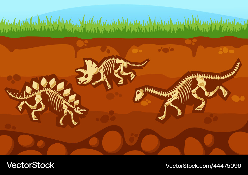 Soil layer with dinosaur skeletons dead animals Vector Image