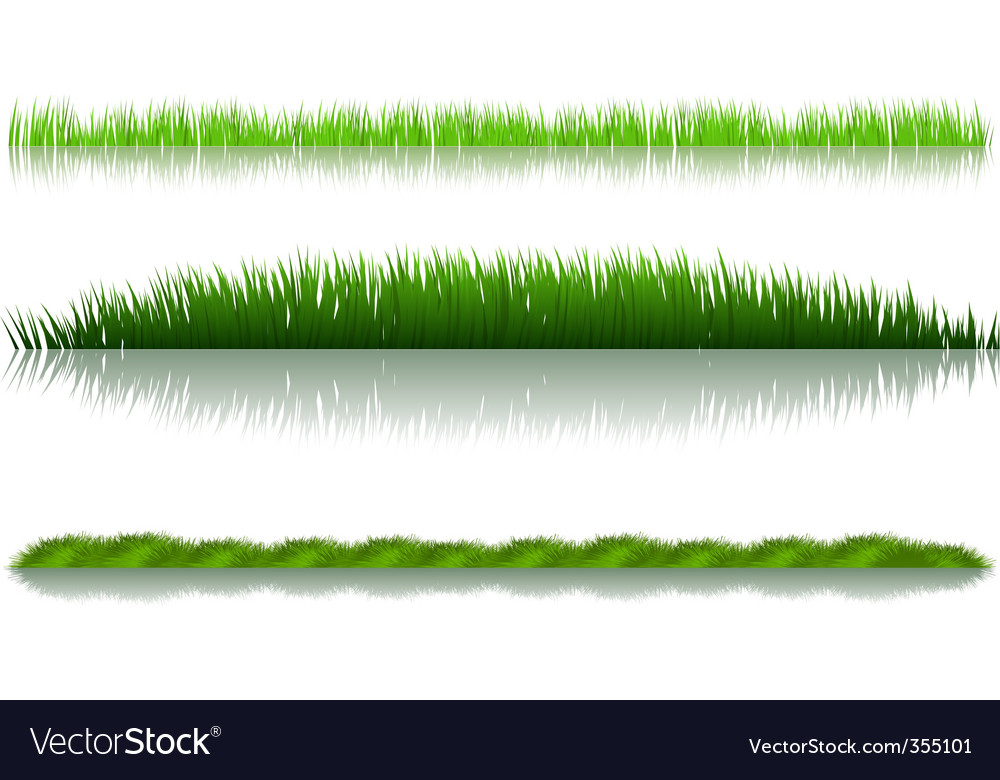 Grass set Royalty Free Vector Image - VectorStock
