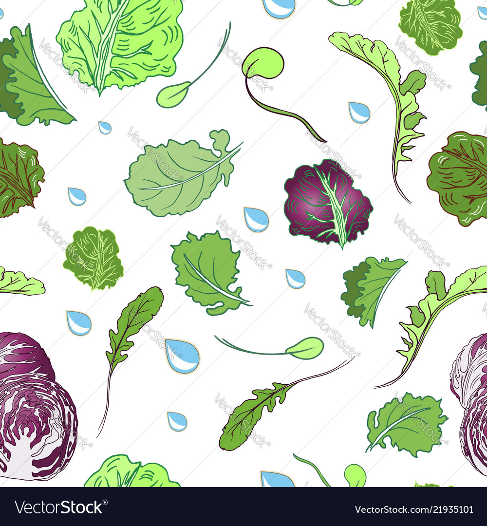 Lettuce pattern Royalty Free Vector Image - VectorStock