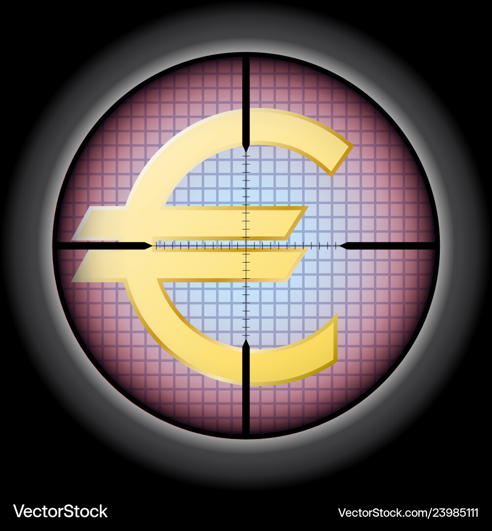 Euro sign in the optical sight Royalty Free Vector Image