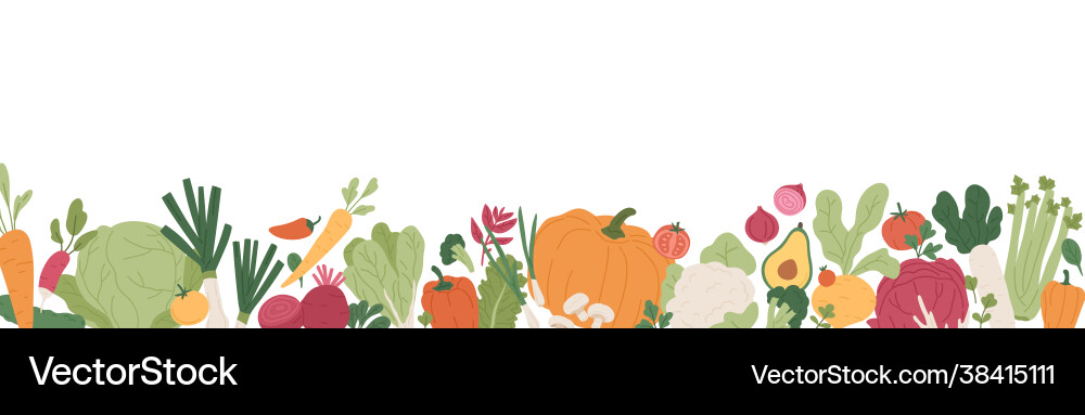 Fresh vegetables and greens border banner Vector Image