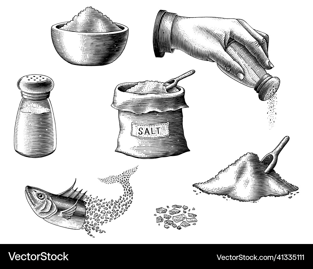 Salt collection hand draw vintage engraving style Vector Image