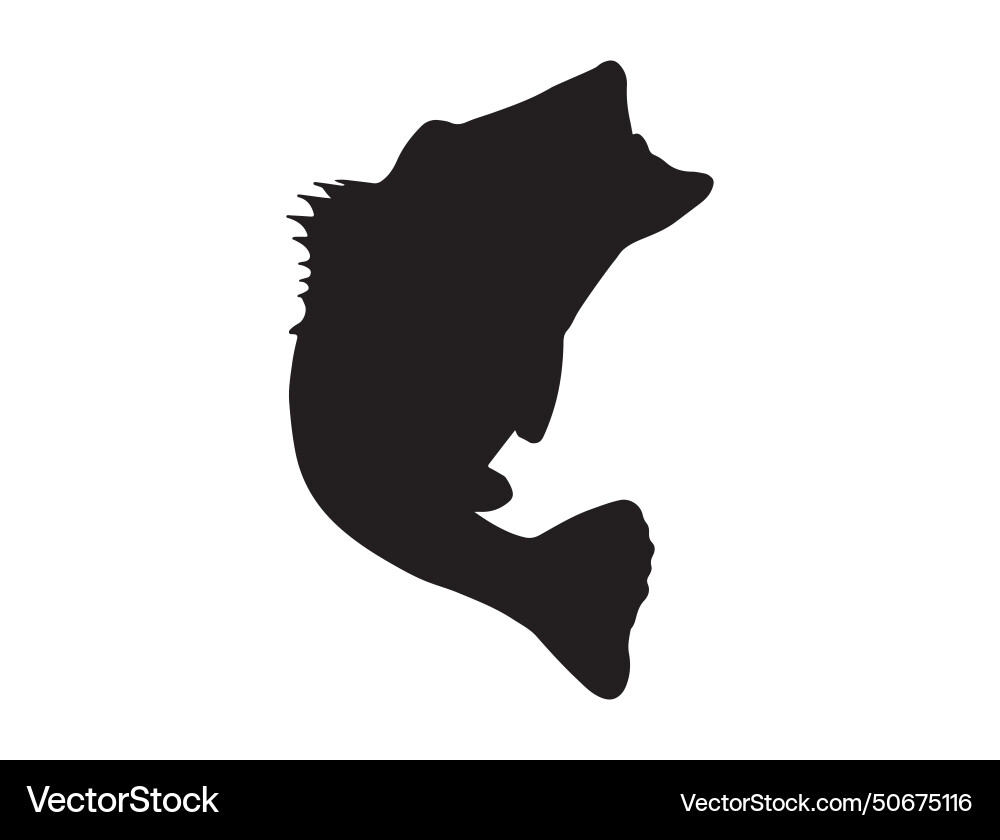 Bass fish silhouette art Royalty Free Vector Image