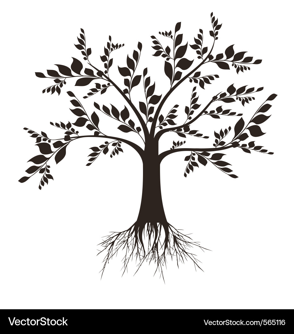 Beautiful art tree silhouette isolated on white ba