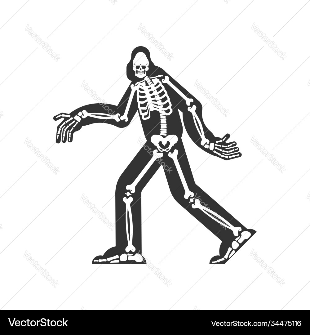 Bigfoot skeleton islated sasquatch skull Vector Image