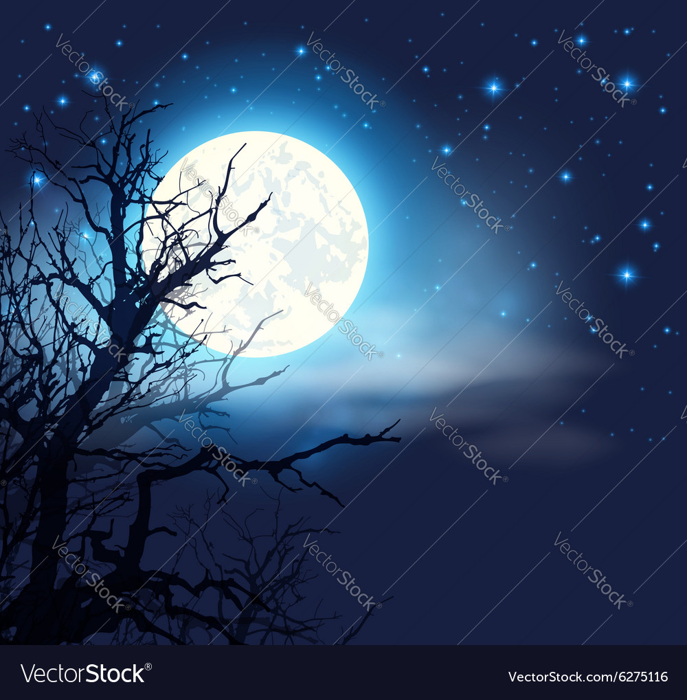 Full Moon Night Trees