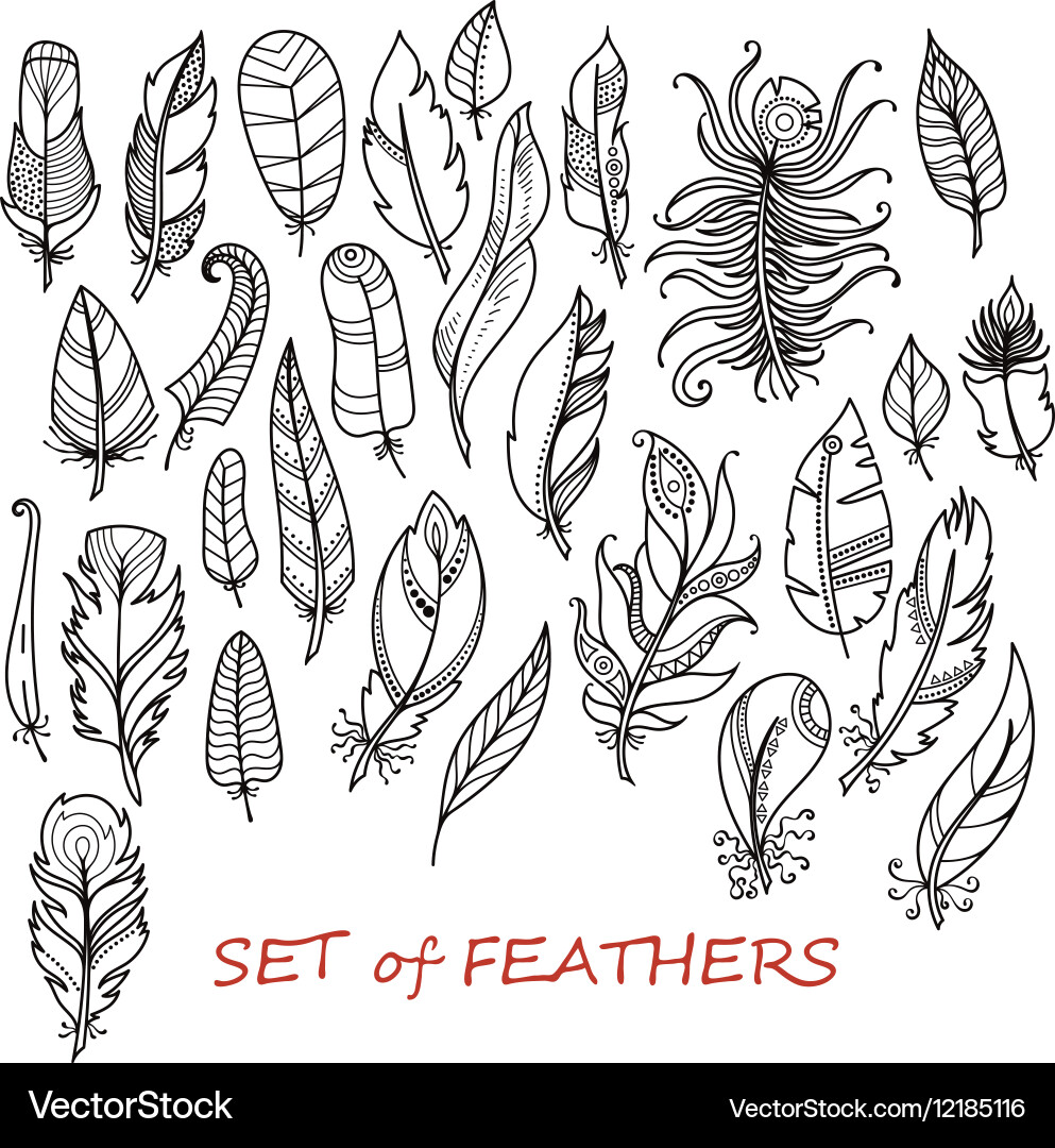 Ornate set of stylized and abstract feathers Vector Image