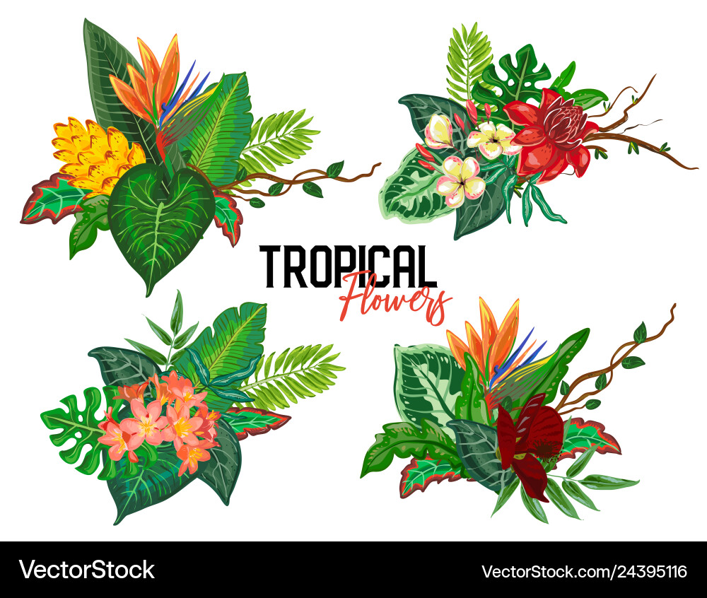Tropical collection with exotic flowers Royalty Free Vector