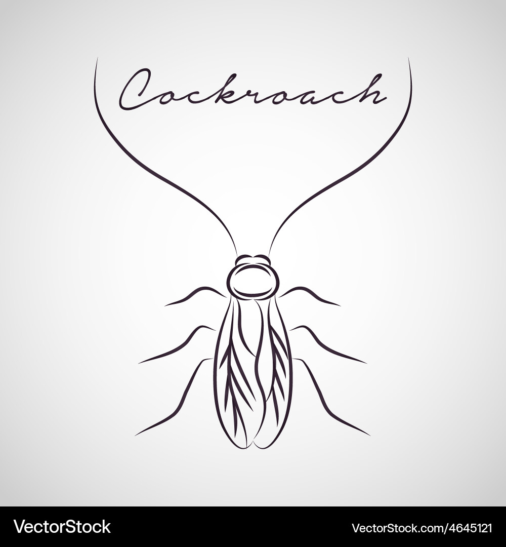 Cockroach Royalty Free Vector Image - VectorStock