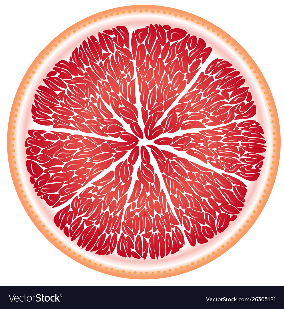 Grapefruit in a close-up section Royalty Free Vector Image