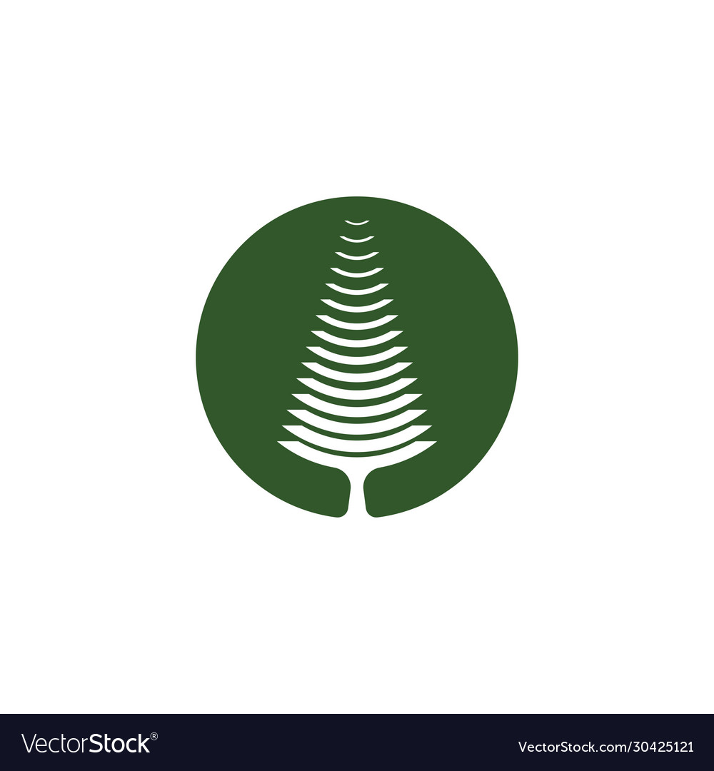 Pine icon Royalty Free Vector Image - VectorStock