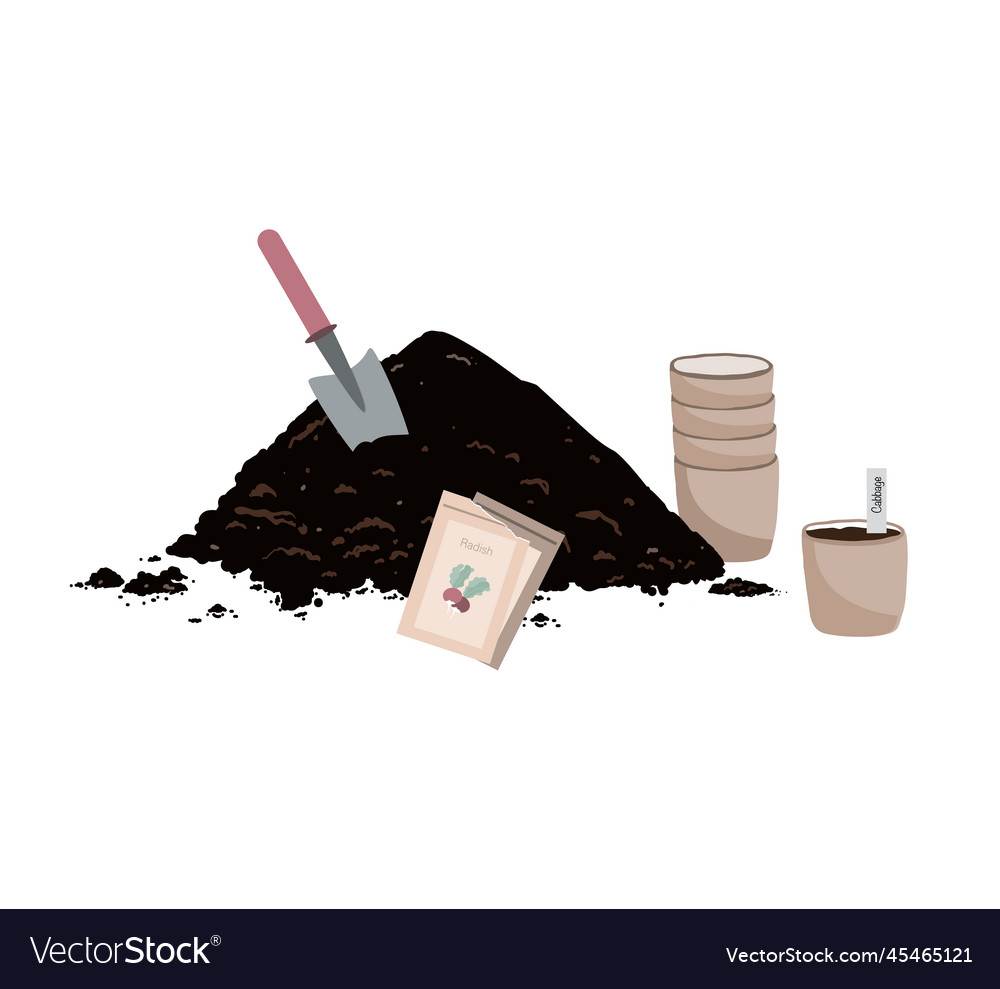 Sowing vegetable seeds spring Royalty Free Vector Image