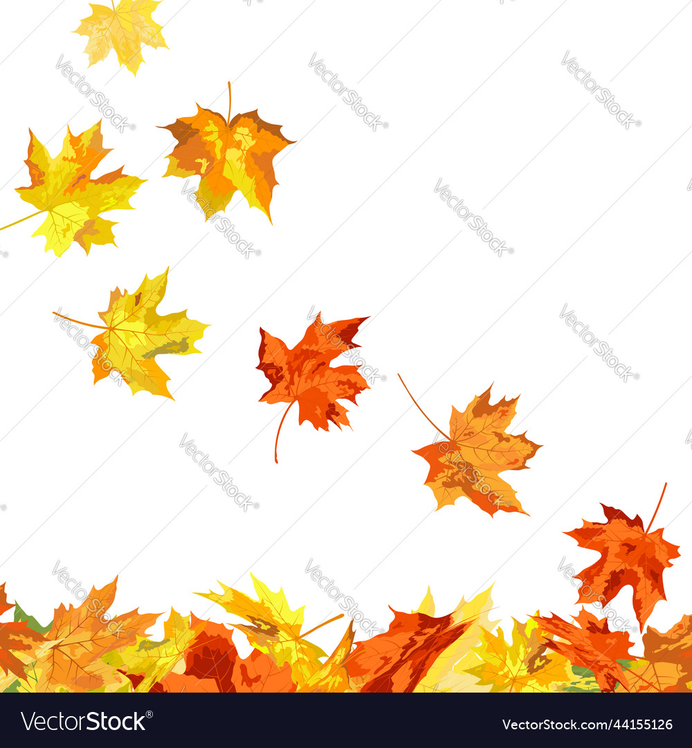 Autumn maple frame Royalty Free Vector Image - VectorStock