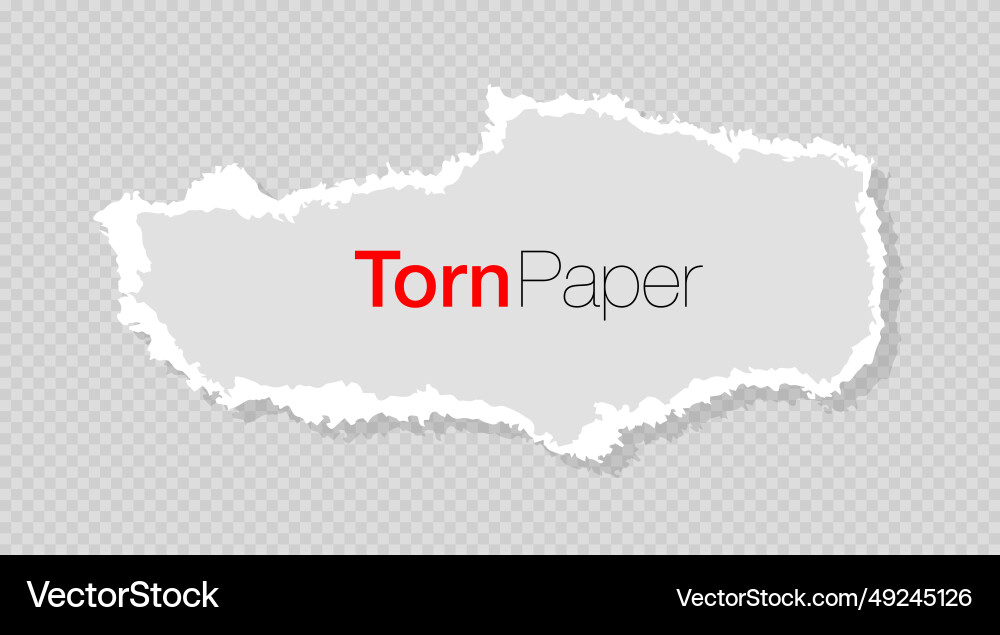 Ripped paper strip torn with edges Royalty Free Vector Image