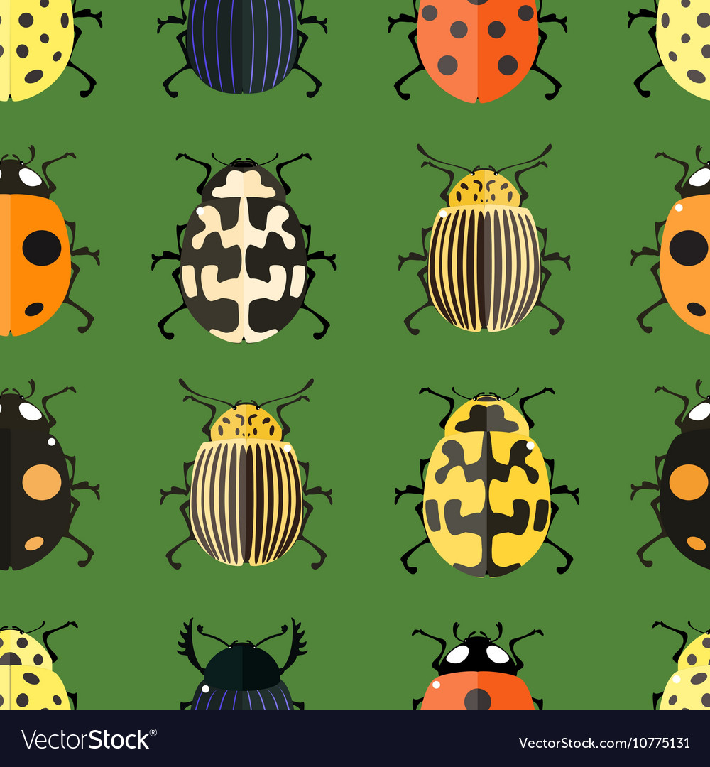 Bug Royalty Free Vector Image - VectorStock