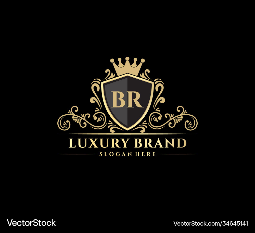 Br initial letter gold calligraphic feminine Vector Image