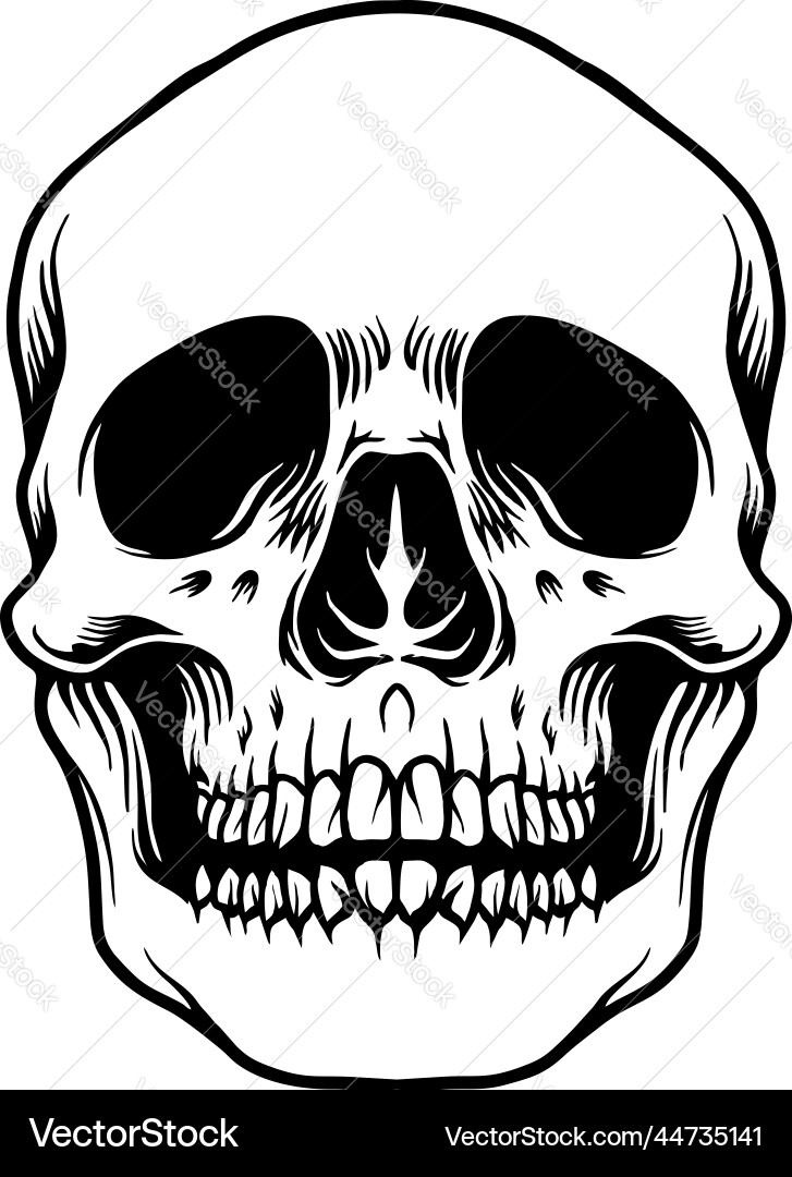 Simple Skeleton Head Drawing