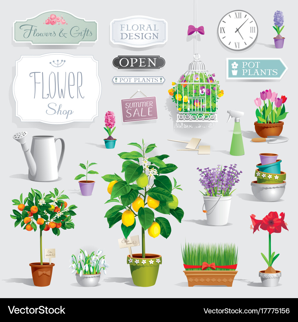 Set pot plants and garden tools Royalty Free Vector Image
