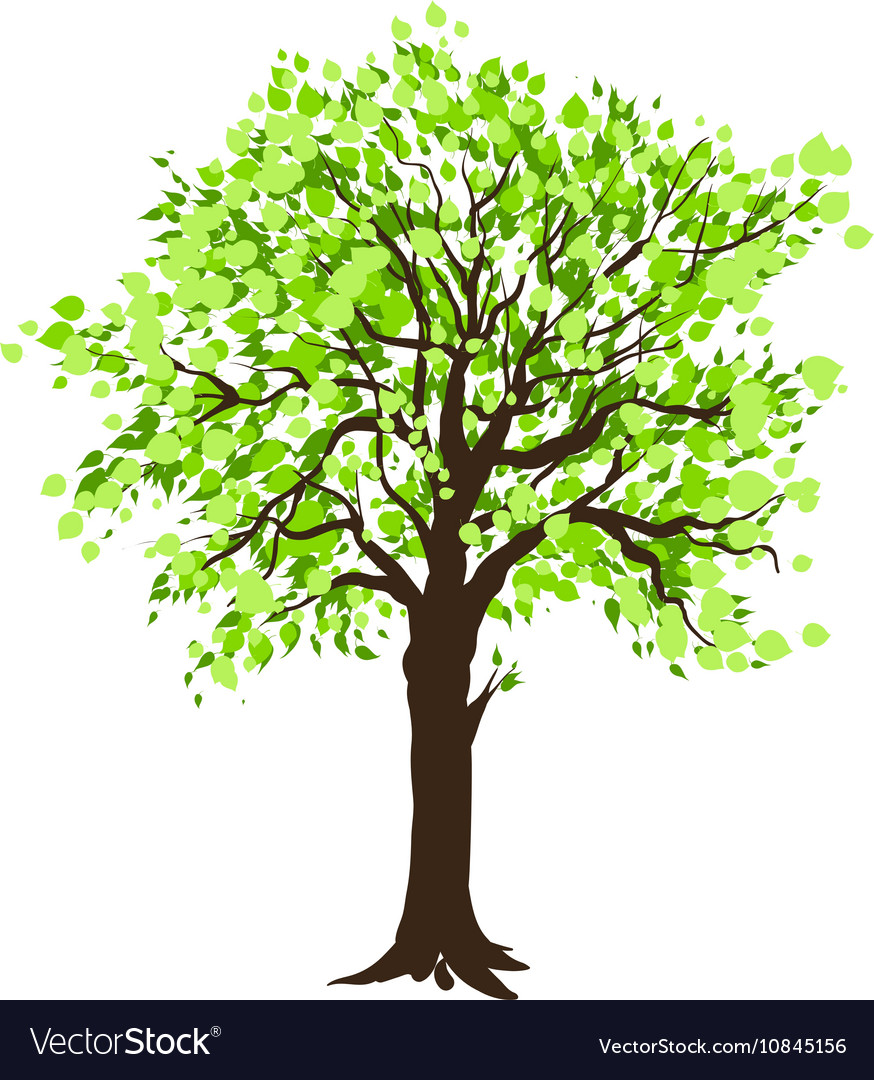 Tree Royalty Free Vector Image - VectorStock