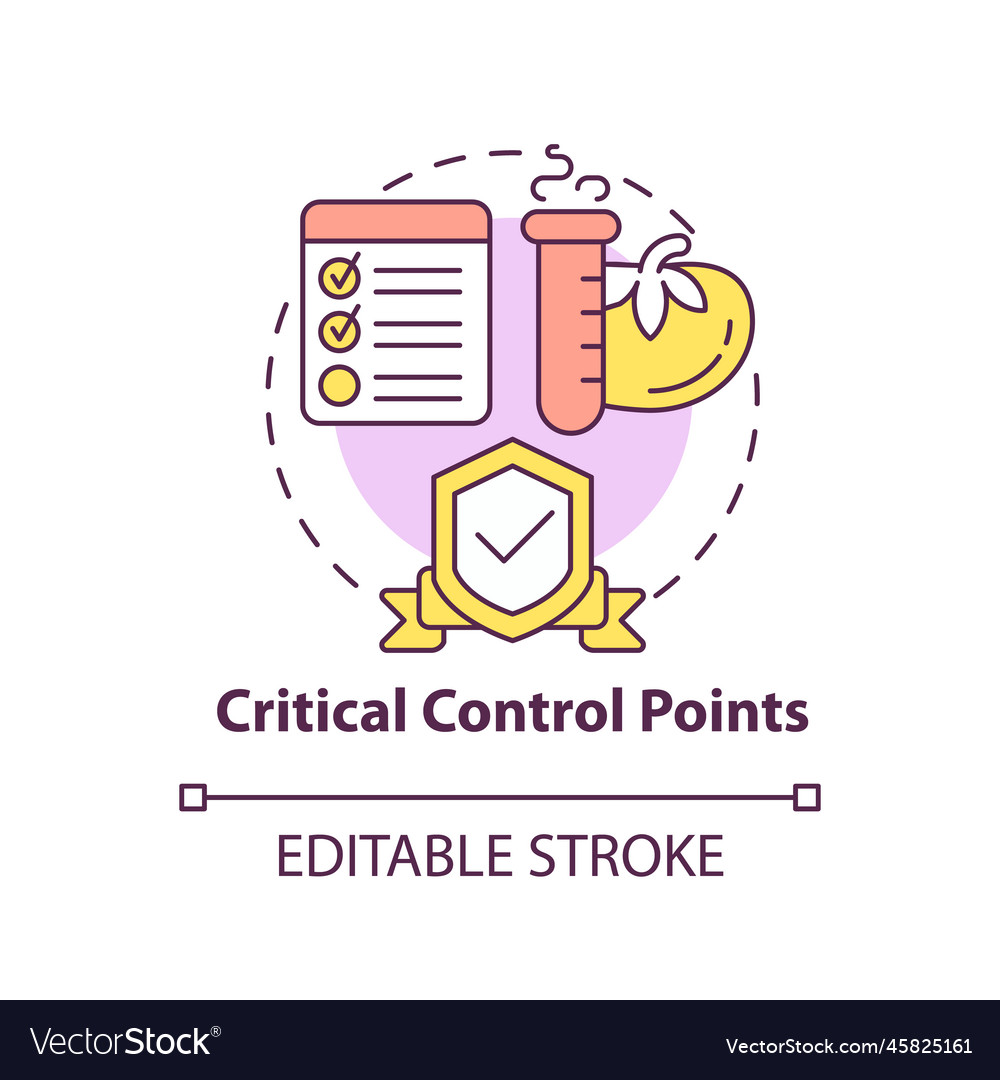 Critical control points concept icon Royalty Free Vector Critical control points concept icon Royalty Free Vector