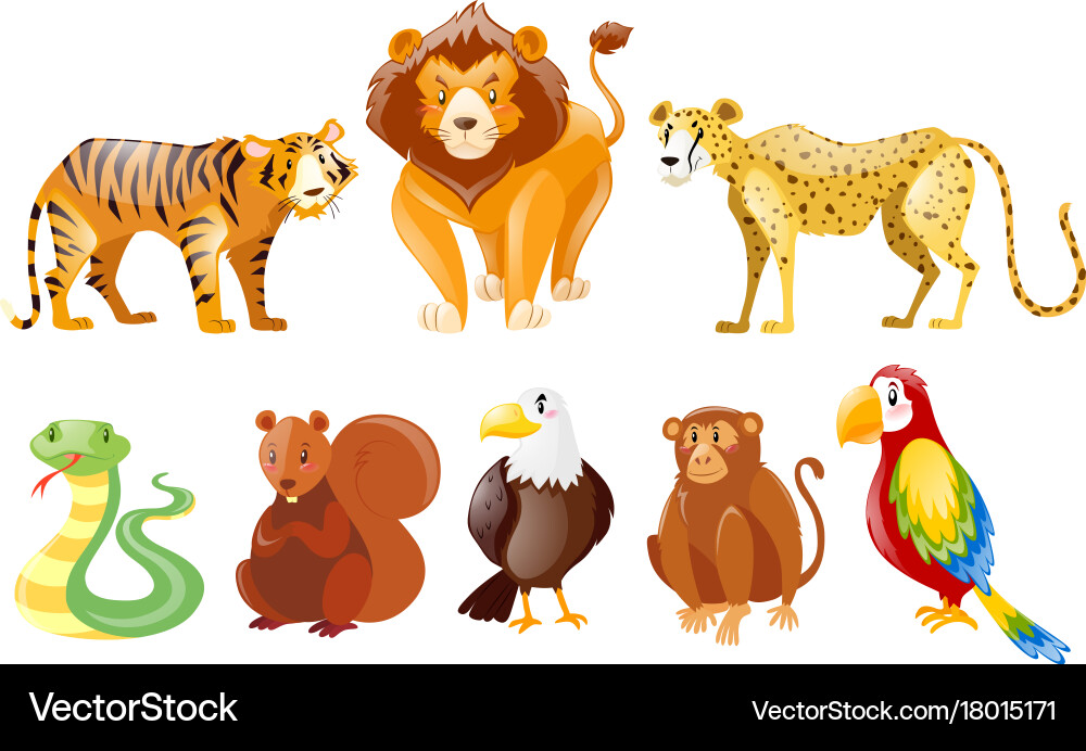 Illustration With Different Animals