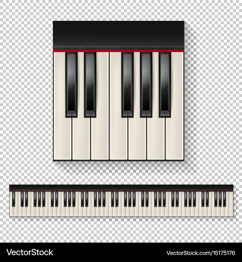 Realistic piano keys closeup isolated Royalty Free Vector