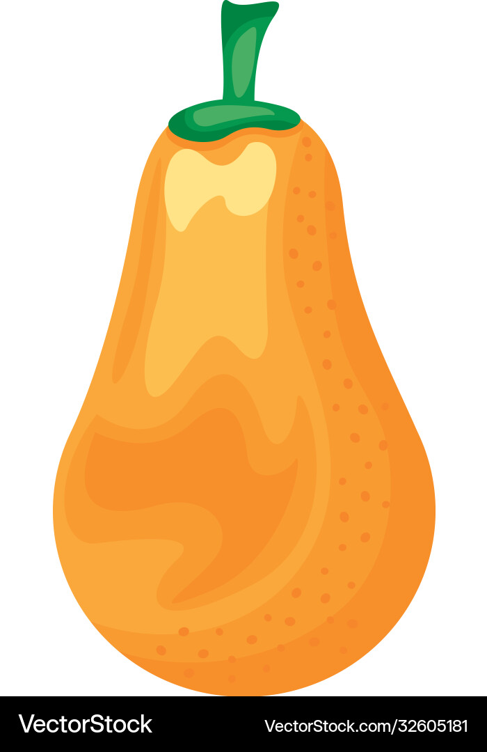 Squash healthy vegetable detailed style icon Vector Image
