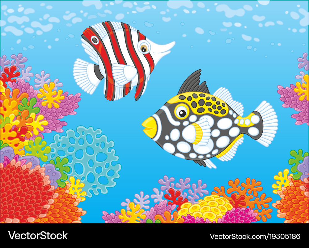 Butterfly fish and triggerfish Royalty Free Vector Image
