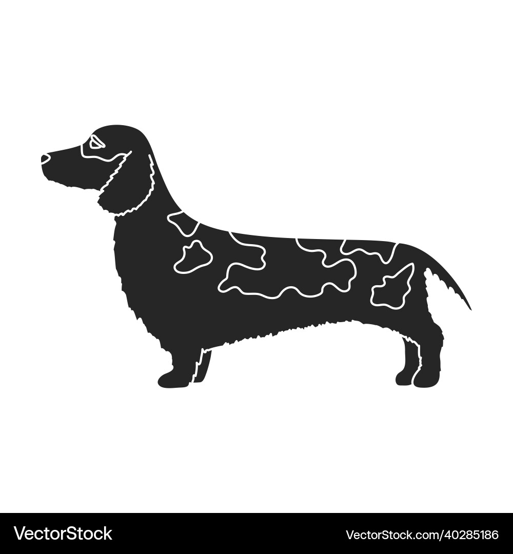 Dachshund iconblack icon isolated Royalty Free Vector Image