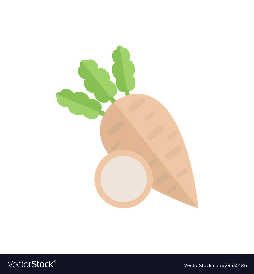 Flat a turnips Royalty Free Vector Image - VectorStock