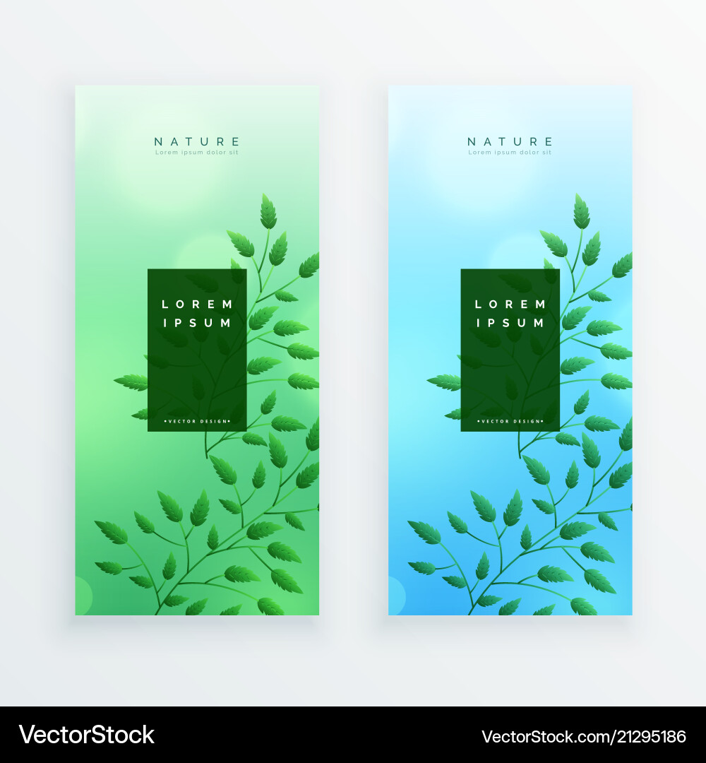 Vertical nature leaves banner design Royalty Free Vector