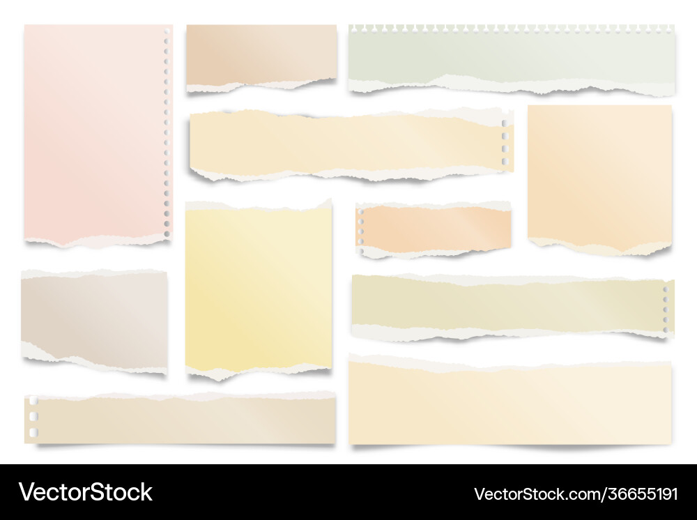 Colorful ripped paper strips isolated on white Vector Image
