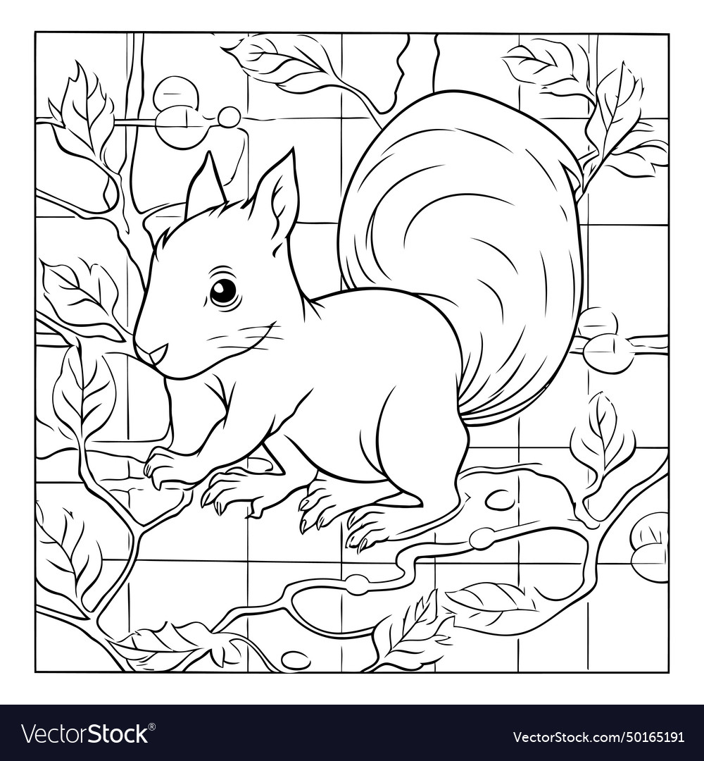Coloring book for children squirrel in the forest Vector Image