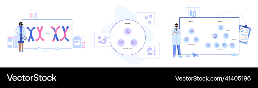 Mitosis process concept Royalty Free Vector Image