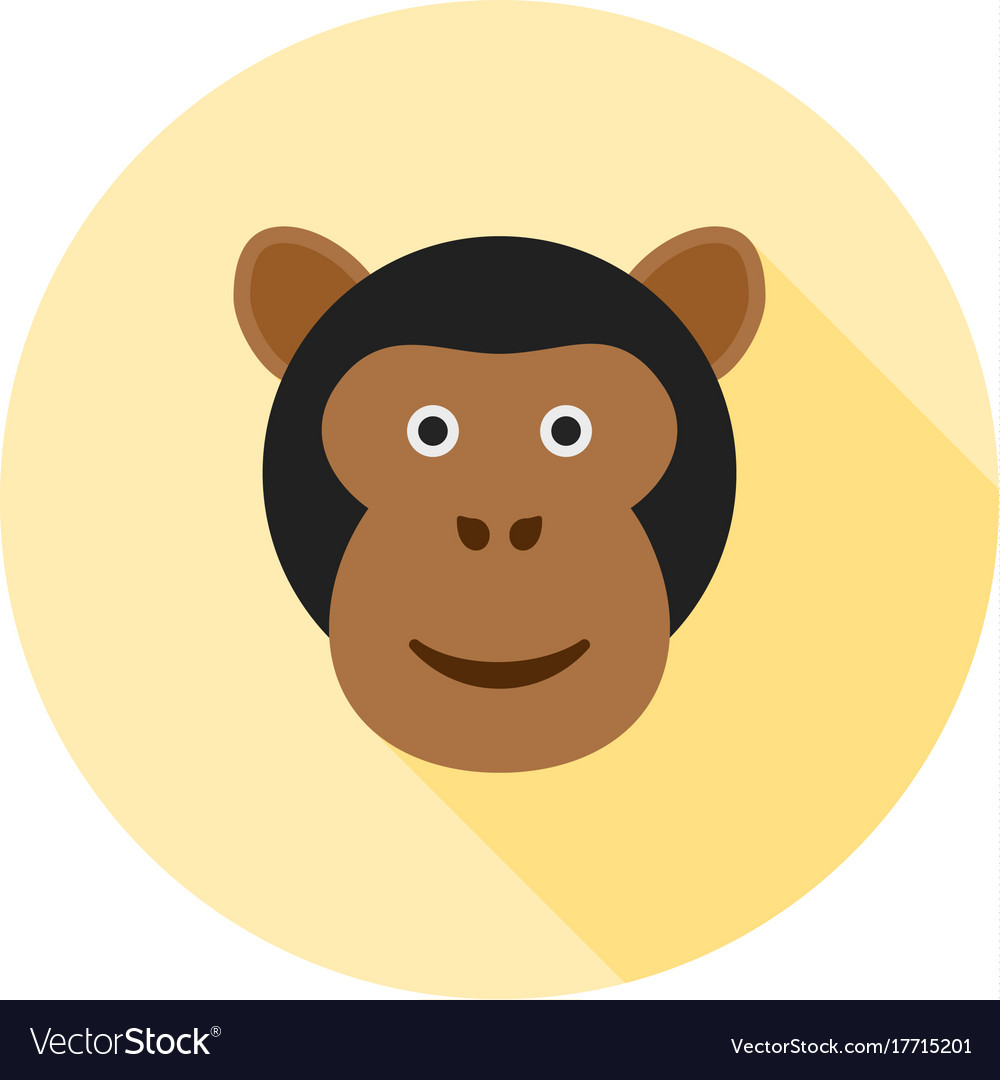 Ape face Royalty Free Vector Image - VectorStock