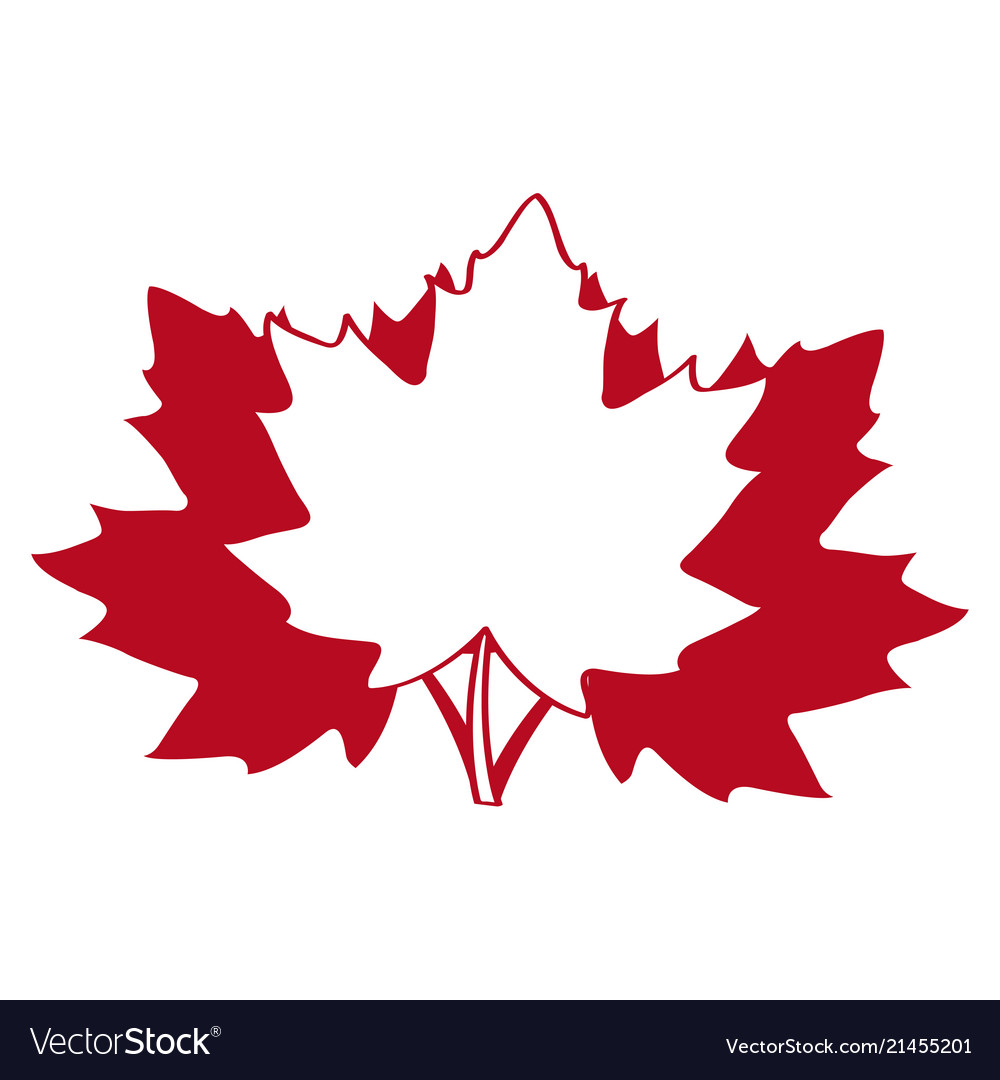 Isolated textured maple tree leaf Royalty Free Vector Image