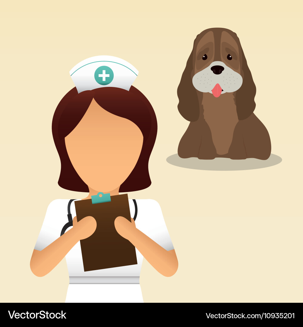 Pet care center service icons Royalty Free Vector Image