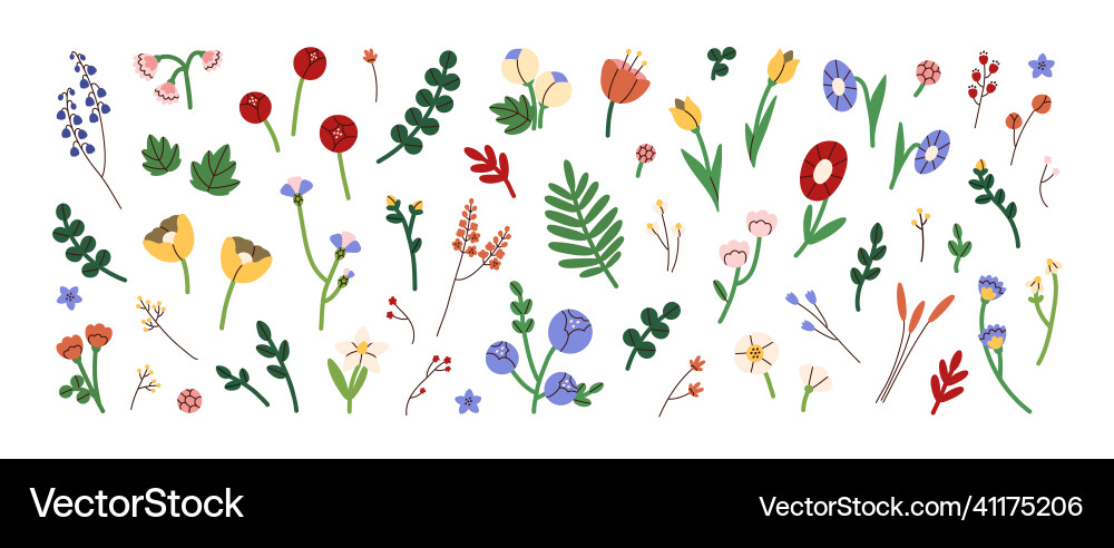 Modern blossomed flowers set abstract blooming Vector Image