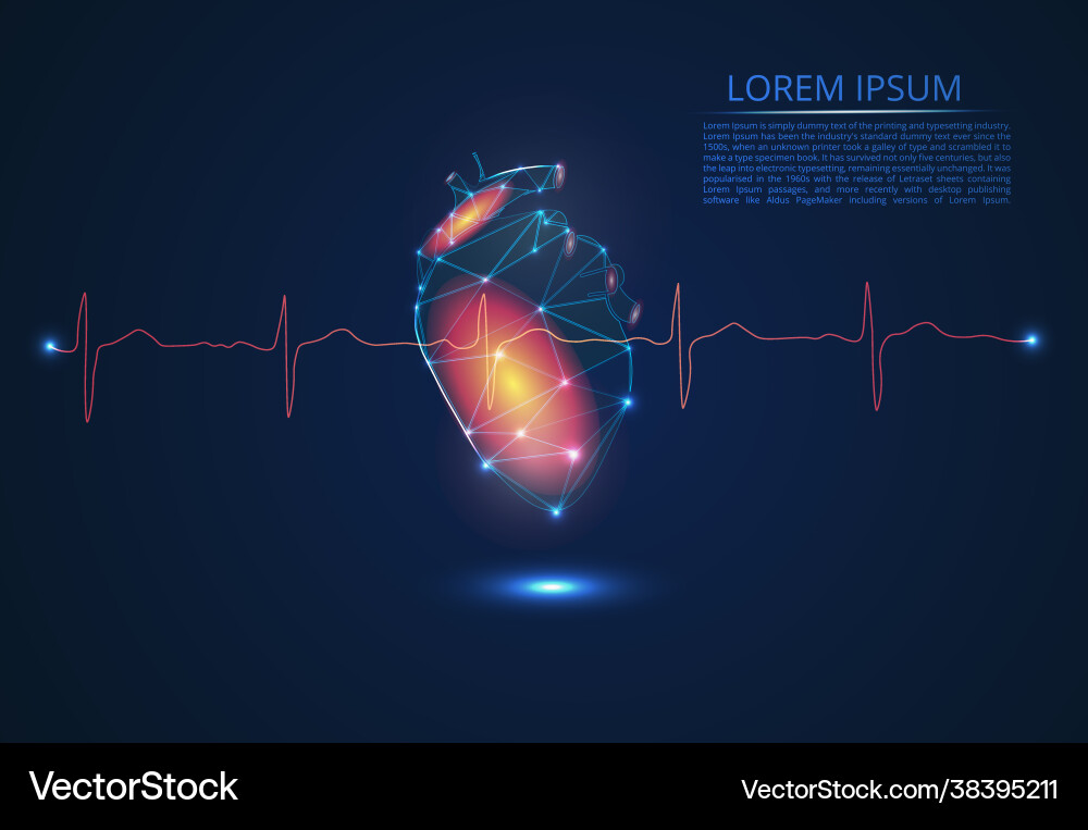 An abstract image a healthy heart innovative Vector Image