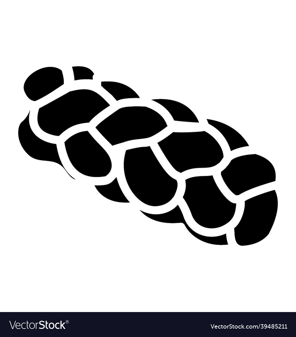 Challah bread Royalty Free Vector Image - VectorStock