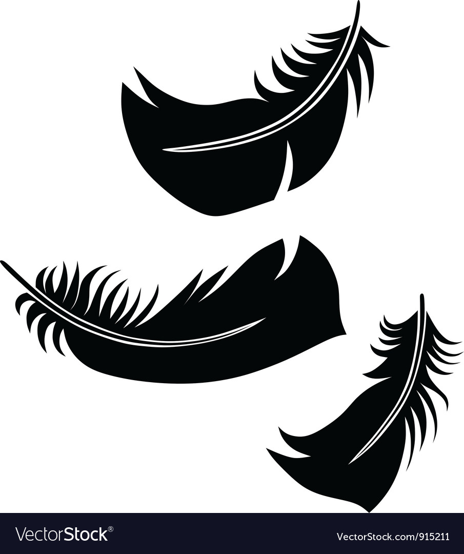 Feather set Royalty Free Vector Image - VectorStock